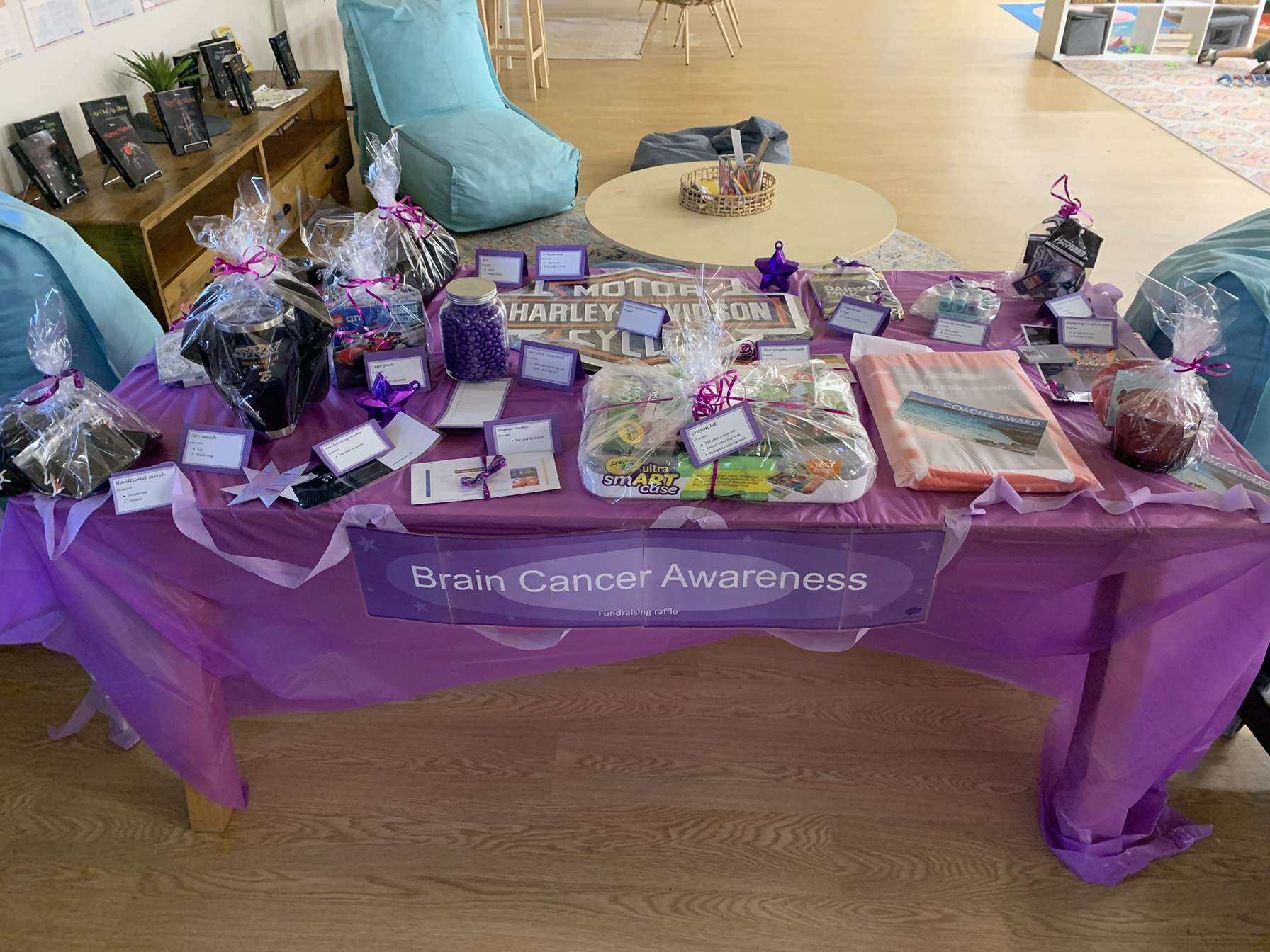 Cure Brain Cancer Foundation - A-Leap Castle Hire