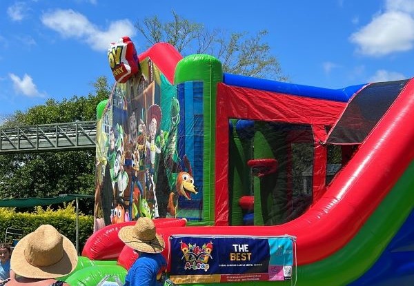 How to plan the best themed boys birthday party - Jumping Castle Hire ...
